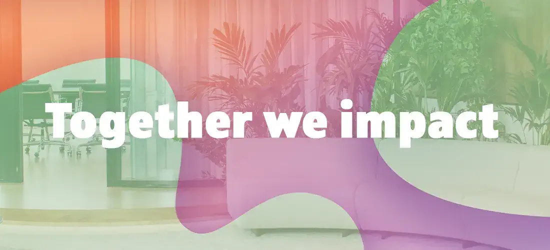 Making an impact with OTP Bank - Mito Creative